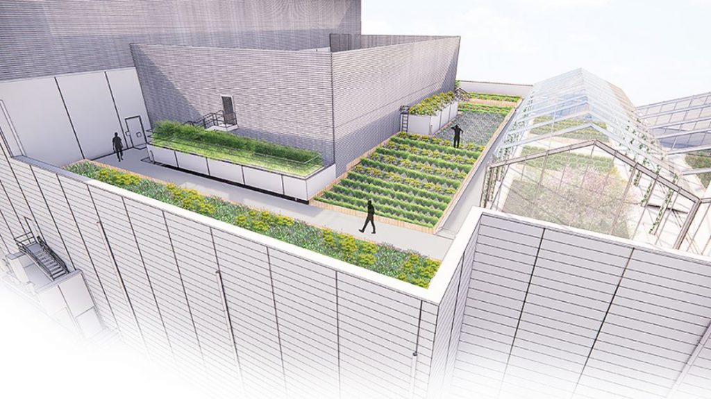 The role of urban agriculture in modern architectural design ...